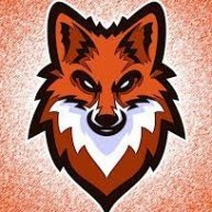 Иконка канала Cunning fox