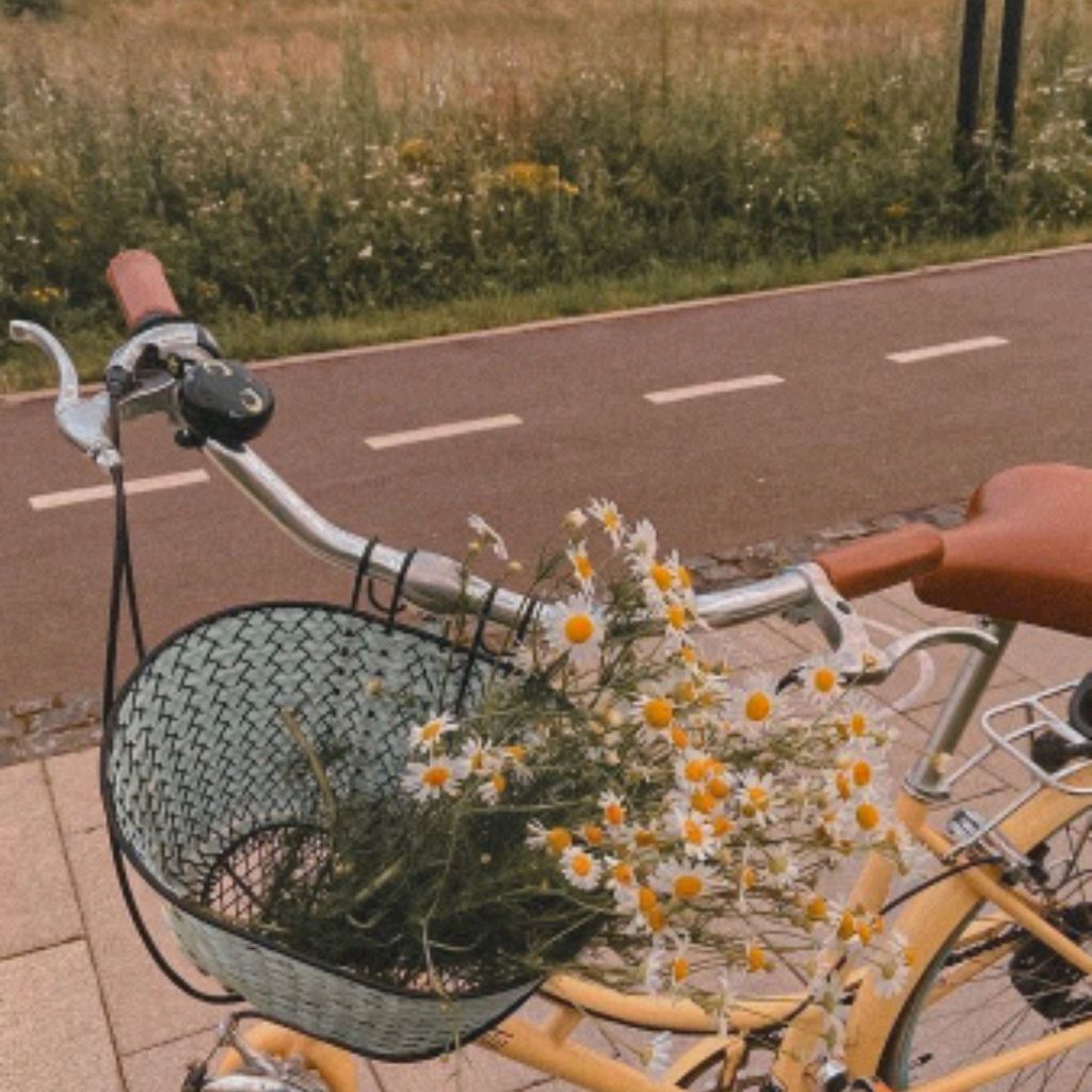 Milka play. Смотрите видео онлайн, бесплатно