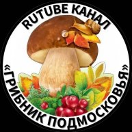 Иконка канала ГРИБНИК ПОДМОСКОВЬЯ