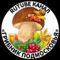 Иконка канала ГРИБНИК ПОДМОСКОВЬЯ