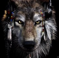 Иконка канала BlackWolf