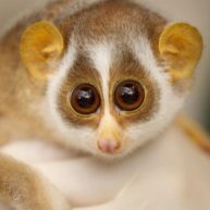 Иконка канала Удивительный мир планеты Земля