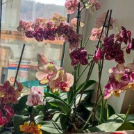 Иконка канала Людмила Ерофеева