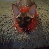 Иконка канала Avatar545