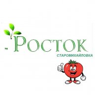 Иконка канала РОСТОК старомихайловка