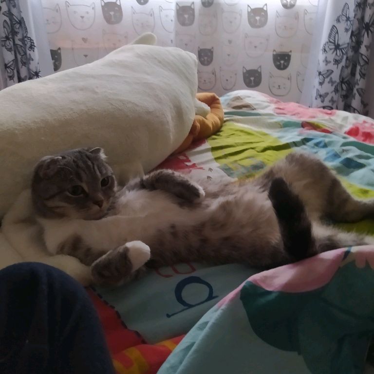 Иконка канала Артемон