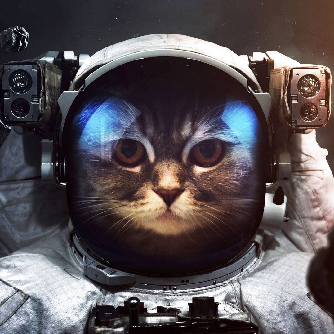 Иконка канала Need4SpeeD