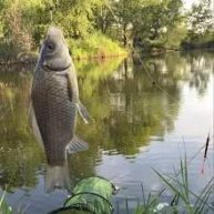 Иконка канала Бородатый Бобр