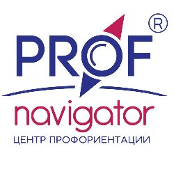 Иконка канала PROF.Navigator