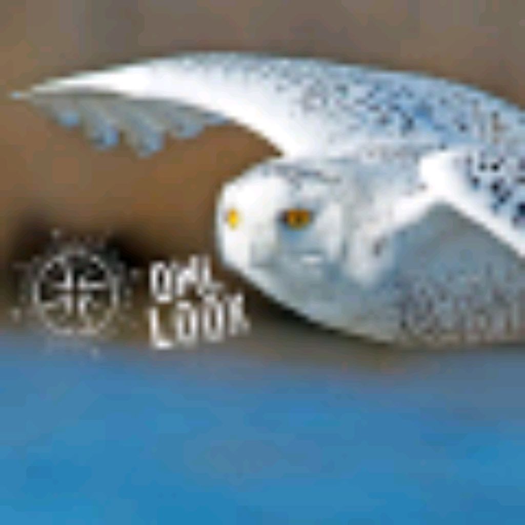 Иконка канала Owl Look