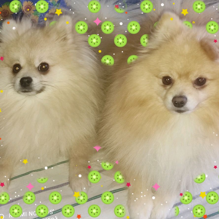 Иконка канала Записки инвалида