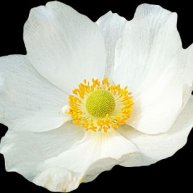 Иконка канала Tatyana