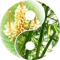 Иконка канала Центр Управления Здоровьем Guozhen