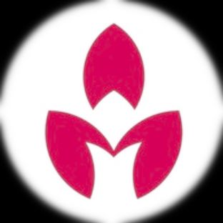 Иконка канала amizitova.ru