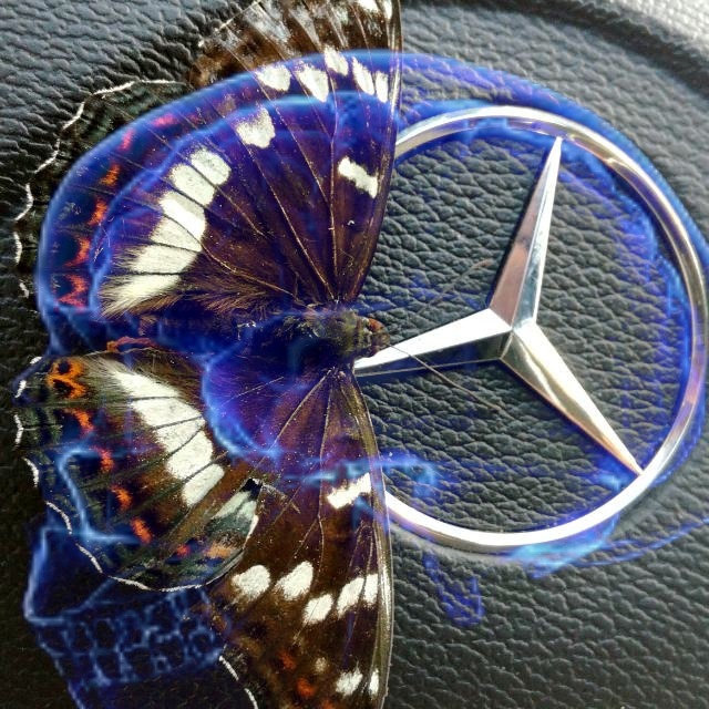 Иконка канала naum