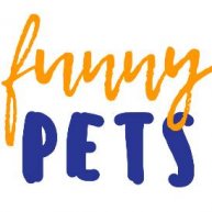 Иконка канала Приколы с животными