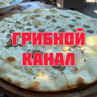 Иконка канала Грибной канал