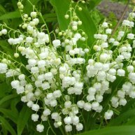 Иконка канала Радость-это Я