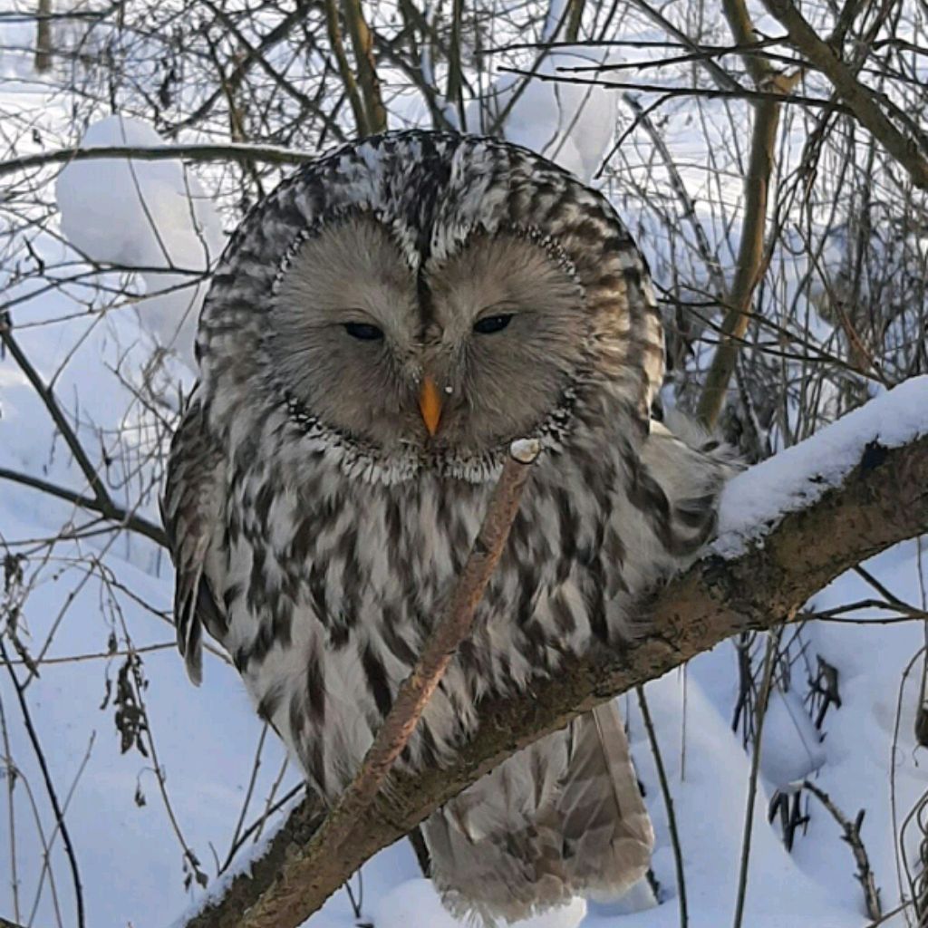 Иконка канала channel27926558