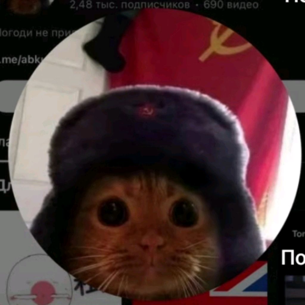 Иконка канала the soviet cat