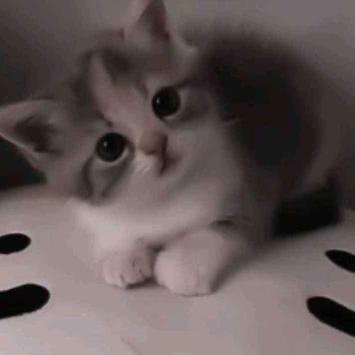 Иконка канала ✨☁MilanA_StaV26☁✨