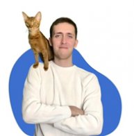 Иконка канала МЯУ-ТИМ математика ОГЭ и ЕГЭ