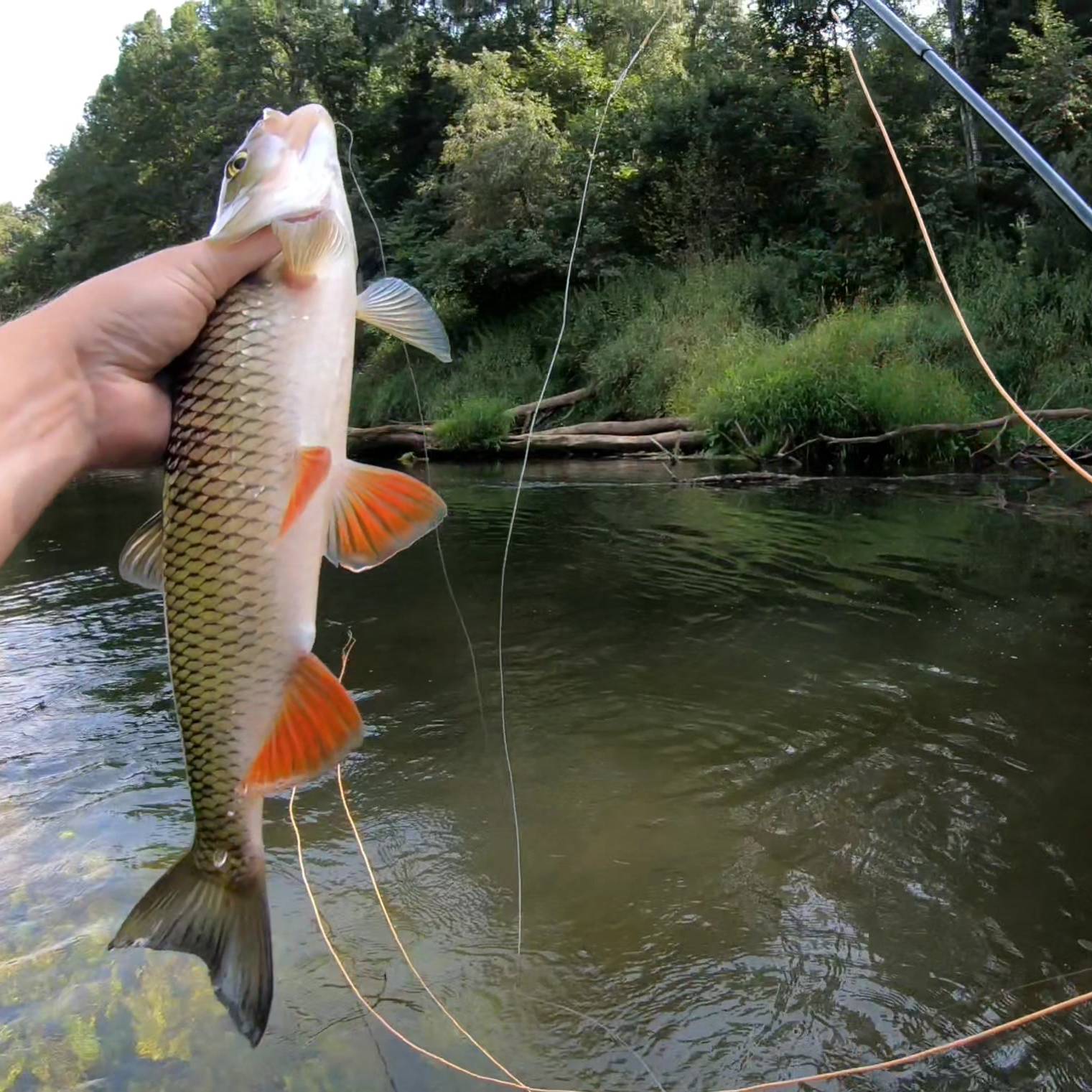 Иконка канала Рыбалка нахлыстом