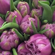 Иконка канала Настроение