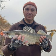 Иконка канала ЧАС РЫБАКА-Рыбачу в Подмосковье!