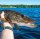 Иконка канала FISH BITE