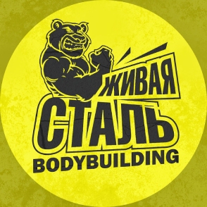 Иконка канала REAL STEEL