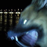 Иконка канала AigleMarin