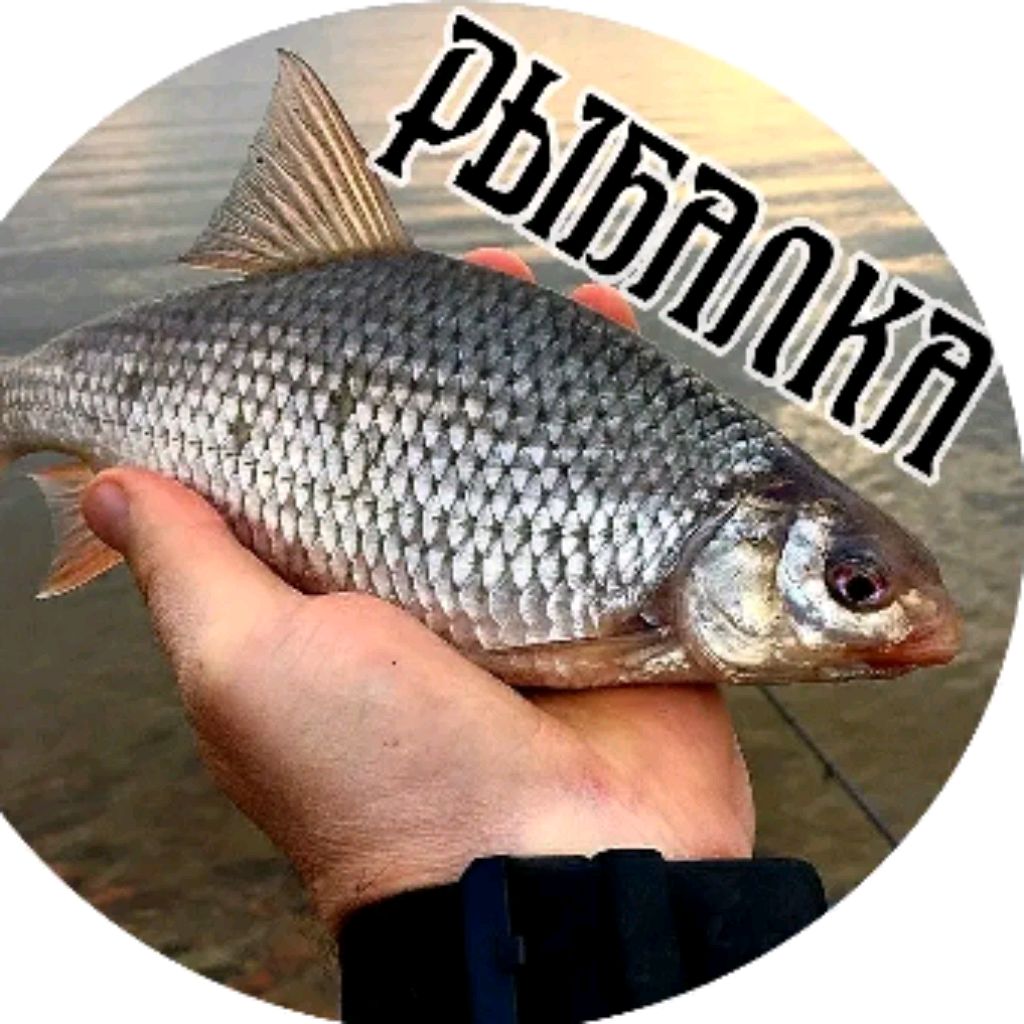 Рыбалка!!!. Смотрите видео онлайн, бесплатно