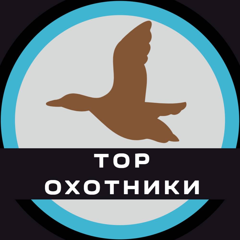 Иконка канала ТОР охотник