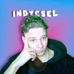Иконка канала Indycsel