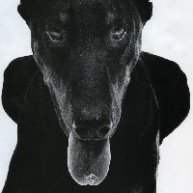 Иконка канала Суперканал с реки Сен-Лоран.