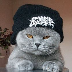 Иконка канала VZ