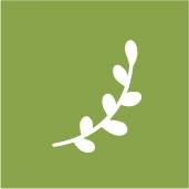 Иконка канала ДШИимА.С.Даргомыжского