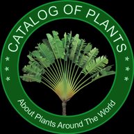 Иконка канала Catalog of Plants﹤|﹥Каталог Растений