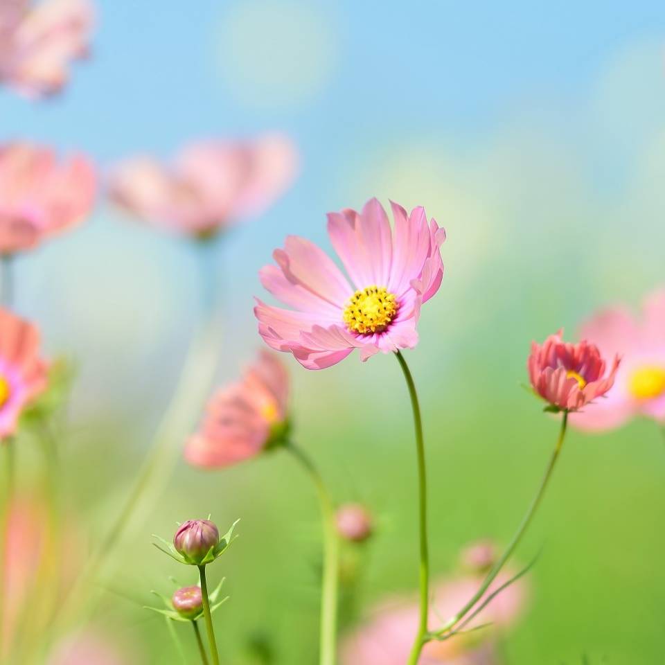 Иконка канала Инна Кайдаш