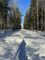 Иконка канала JNos