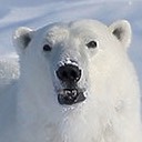 Иконка канала NYauto86