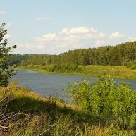 Иконка канала Лесоход