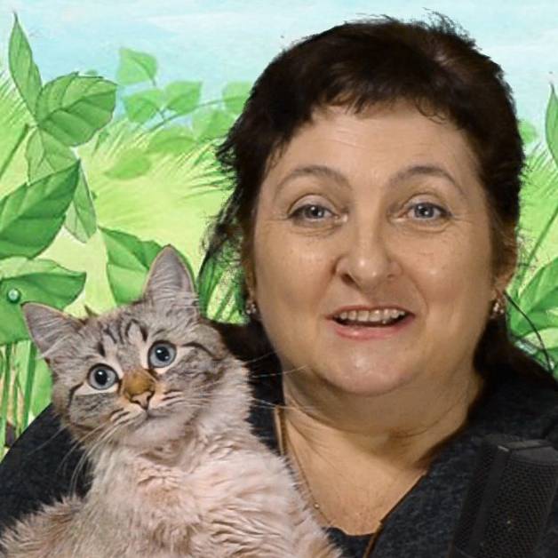 Иконка канала Сказки народов мира.