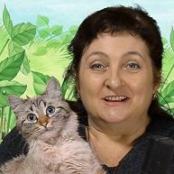 Иконка канала Сказки народов мира.