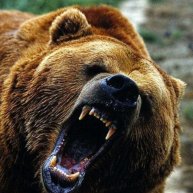 Иконка канала Стихи и борьба, Олег Самедов