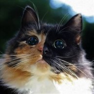 Иконка канала Про животных и не только!!!