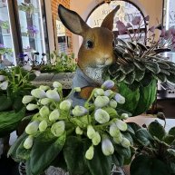 Иконка канала КУХНЯ ФИАЛКИ