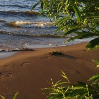 Иконка канала Географик 303