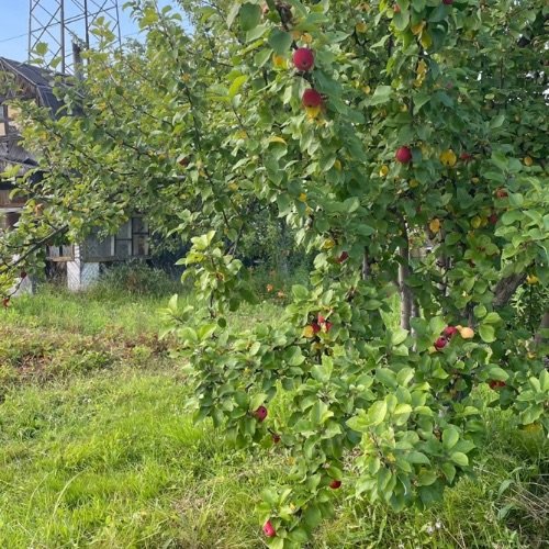 Иконка канала Фиксики